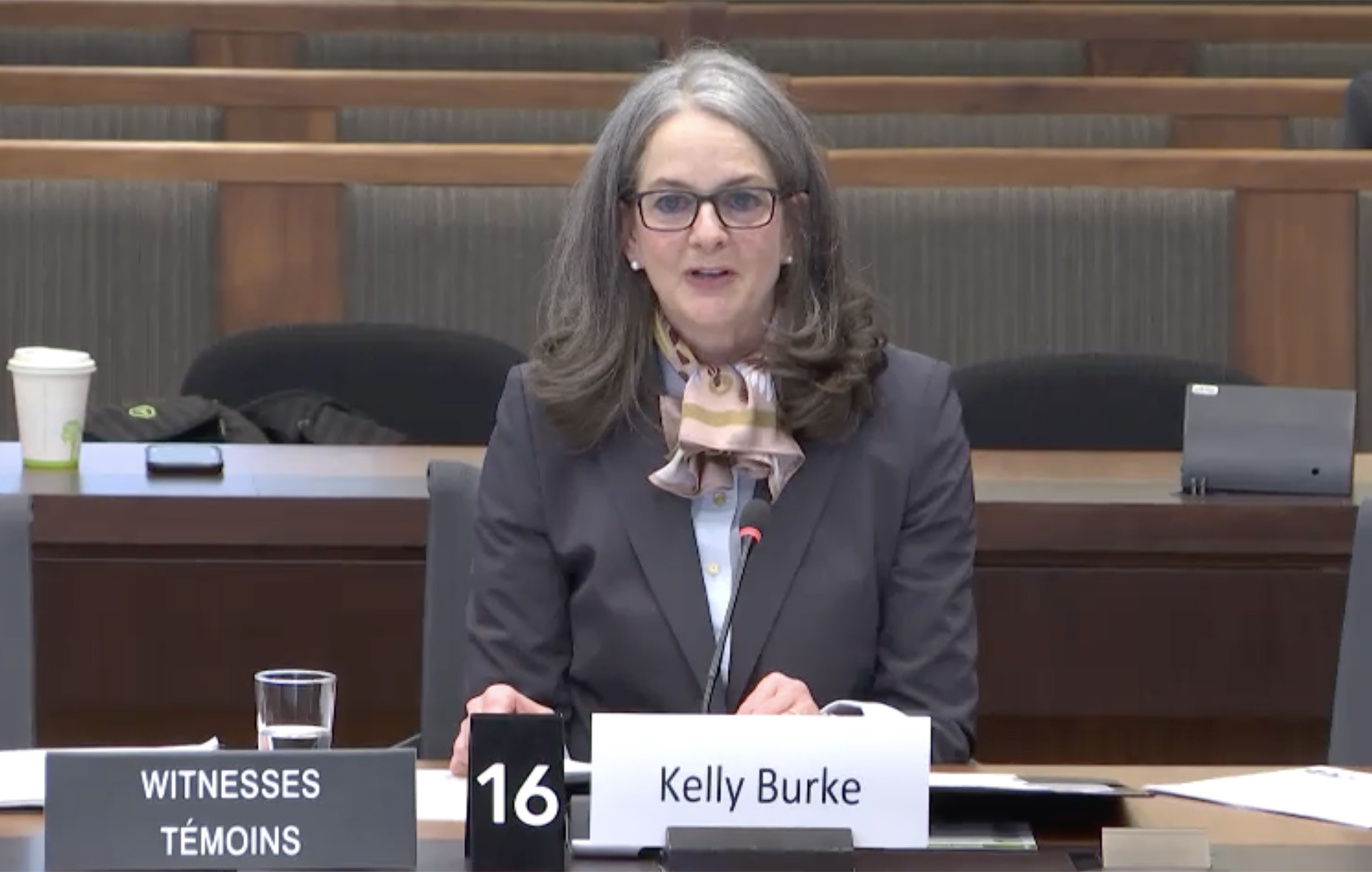 Kelly Burke «coche toutes les cases» pour être commissaire aux langues ...