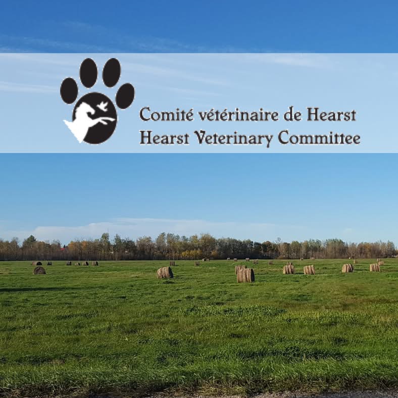 Le rêve d’une clinique vétérinaire à Hearst se poursuit