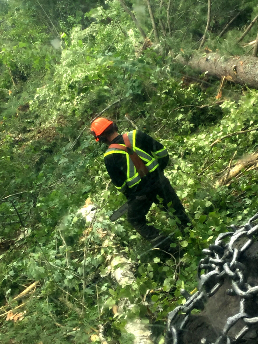 Le travail d’un bucheron