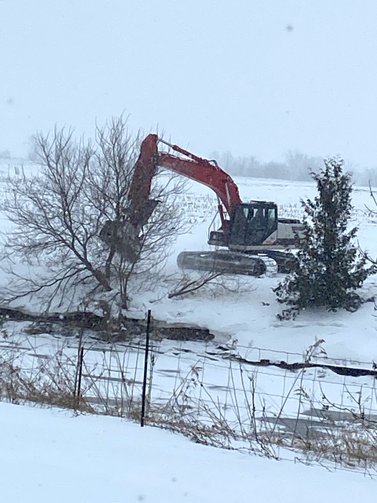 Le déboisement agricole inquiète à Hawkesbury-Est - Le Régional